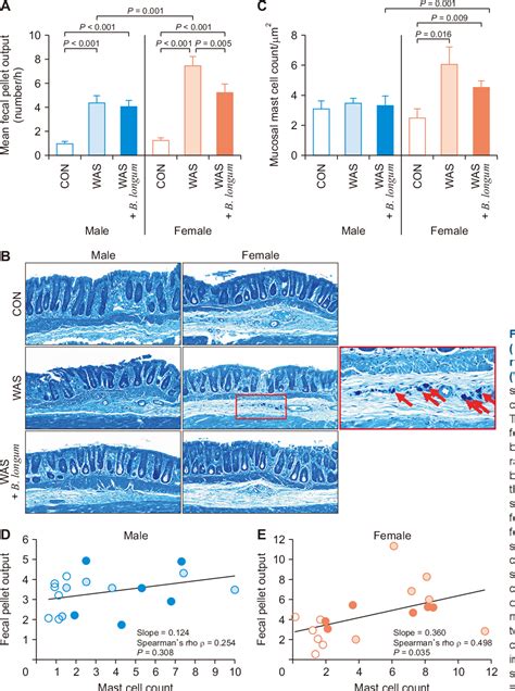 Figure 1 From Sex Difference In The Effect Of Bifidobacterium Longum On