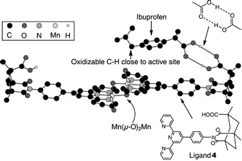 Figure 1 From Supramolecular Control Of Selectivity In Transition Metal
