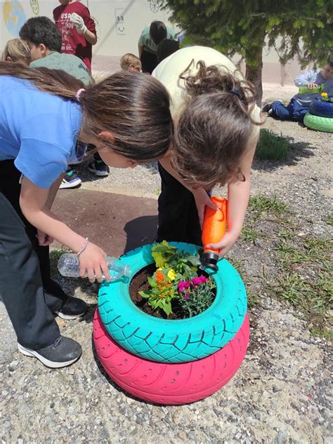 ΤΡΑΠΕΖΟΥΝΤΑ Gr Το σχολείο που αγκάλιασε τα ελληνόπουλα του Πόντου μετράει πληγές από την πυρκαγιά