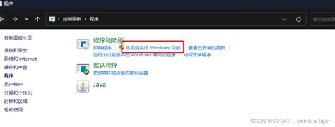 ASP NET之 ASP IIS配置开发环境 配置iis加asp服务器 CSDN博客 ASP NET之 ASP IIS配置开发环境 配置iis加asp服务器 CSDN博客
