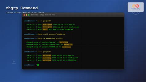 Chmod Command In Linux Complete File Permissions Tutorial With