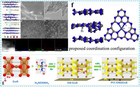 A Conceptual Illustration Of Pdg Cn Hybrid With The Interlayer Download Scientific Diagram