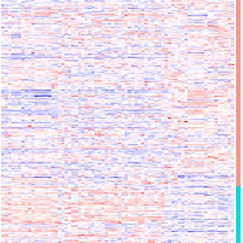 Heatmap Of Top 50 Differentially Expressed Mirnas Between The High And Download Scientific
