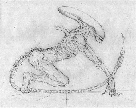 How To Draw A Xenomorph Youtube How To Draw A Xenomorph Youtube