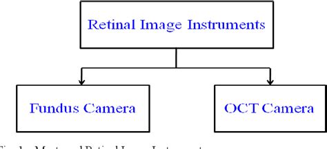 Figure 1 From Detection Of Diabetic Maculopathy Semantic Scholar