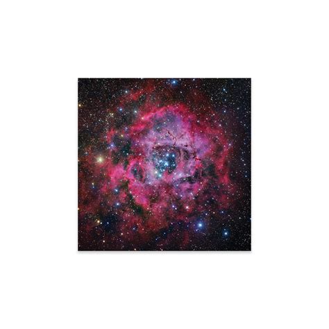 Latitude Run® The Rosette Nebula In Monoceros Mosaic By Robert Gendler