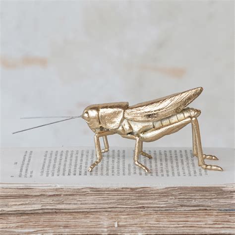 Resin And Metal Grasshopper Gold Finish