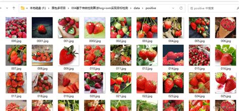 基于传统检测算法hogsvm实现目标检测hogsvm目标检测c Csdn博客