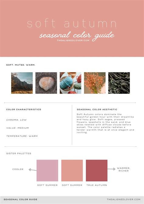 Soft Autumn Makeup Soft Autumn Color Palette Autumn Skin Fall Colors Soft Colors Neutral