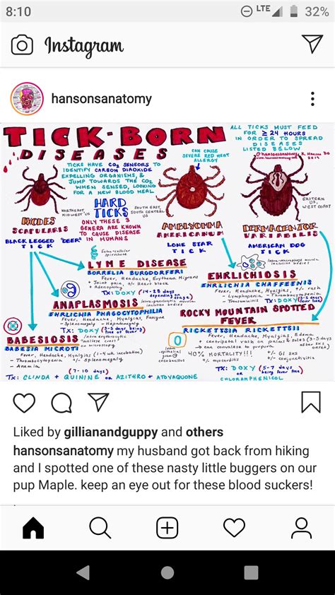 Med School Notes On Ticks Backpacking