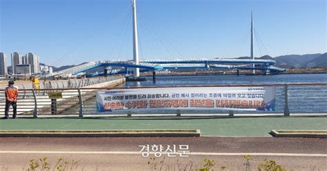 정어리 1000만마리 떼죽음의 원인이 정어리 풍년이었다고