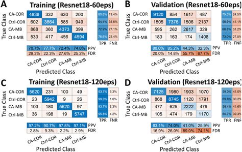 Classification Of Activated Microglia By Convolutional Neural Networks Pmc