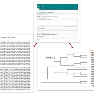 The Figure Depicts The Kalign Tool Interface Alignment Results And A Download Scientific