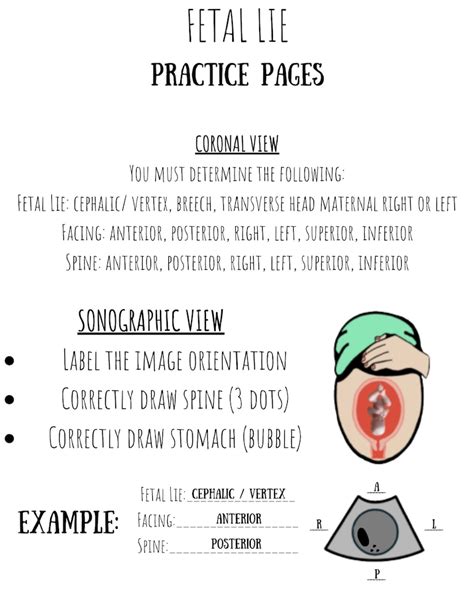Ultrasound Study Guide Fetal Lie Fetal Situs Etsy