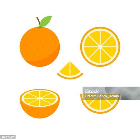 과일과 열매의 집합입니다 여름 과일입니다 과일 사과 배 딸기 오렌지 복숭아 매 화 바나나 박 파인애플 키 위 레몬 과일 벡터 컬렉션입니다 벡터 일러스트입니다 건강한 식생활에