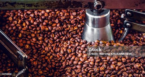 현대적인 커피 로스팅 기계 위에 갓 로스팅한 향기로운 커피 원두 0명에 대한 스톡 사진 및 기타 이미지 0명 Celebrity Roast Performing Arts