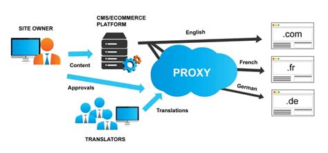 standalone proxy or cms integration