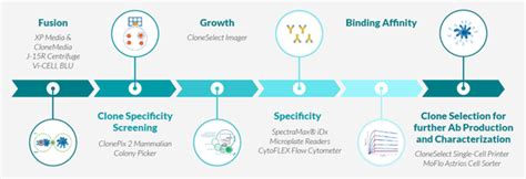 先导抗体分子产生之路——杂交瘤技术 知乎