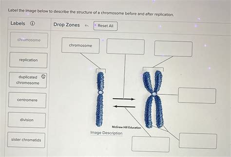 Solved 12 Label The Image Below To Describe The Structure Of