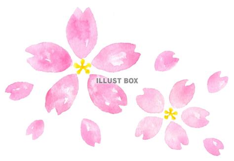 無料イラスト 水彩の桜の花1