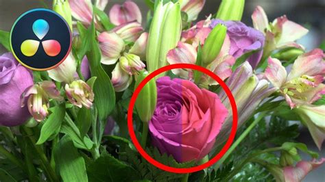 Different Color Curves DaVinci Resolve JayAreTV