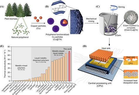 liquid metal compartmented by polyphenol‐mediated nanointerfaces