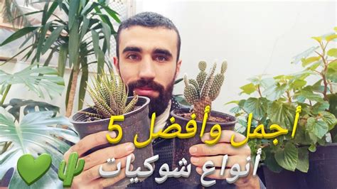 زراعة أجمل الصباريات في المنزل Youtube