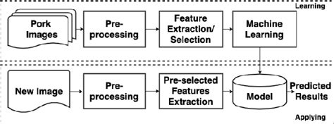 Figure 1 From Detection Of Distorted Meat Image For Pork Grading System Semantic Scholar