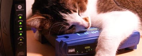 Insanely Amazing Hack For Better Sleep Turn Off Wifi At Night