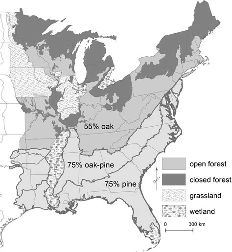 Frontiers Reviewing Fire Climate Deer And Foundation Species As Drivers Of Historically