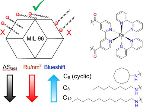 Noncovalent Surface Modification Of Metalorganic Frameworks Unscrambling Adsorption Properties