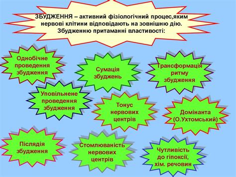 Анатомія та фізіологія спинного мозку презентация онлайн
