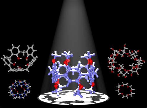 Tomoki Ogoshi Wpi Nano Life Science Institute Kanazawa University