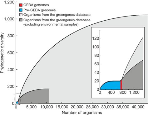 Phylogenetic Diversity Of Bacteria And Archaea On The Basis Of Ssu Download Scientific