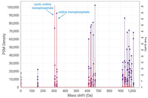 Using A Custom Offset Workflow With Fragpipe Rna Crosslinking Analysis