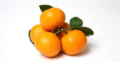 겨울과일값 ‘후덜덜… 딸기 30 오르고 감귤은 3배로 급등