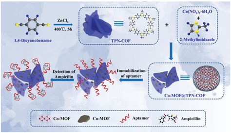 The Schematic Diagram Of The Construction Of The Tpn Cofco Mof Download Scientific Diagram