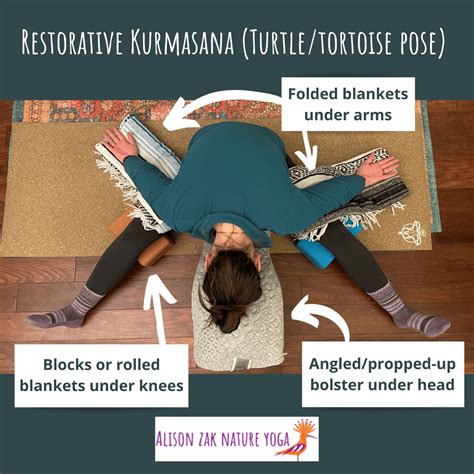 Restorative Turtle Pose Alison Zak