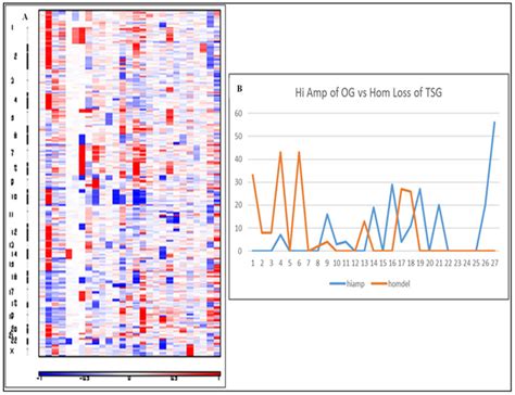 Copy Number Alteration Cna Analysis Of The 27 Rare Cancer Cases Using