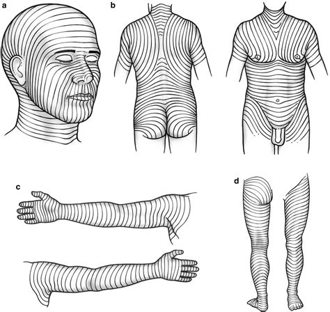 Operative Dermatologie Springerlink