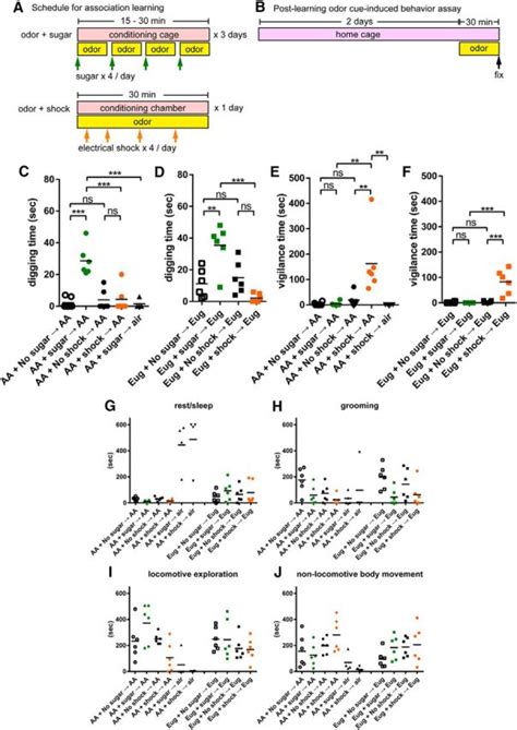 Mapping Of Learned Odor Induced Motivated Behaviors In The Mouse Olfactory Tubercle Pmc