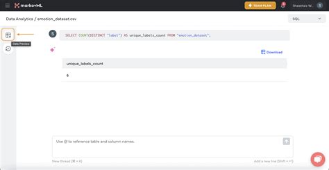 Preview Your Data Table