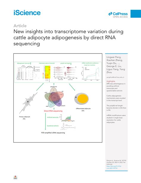 Pdf New Insights Into Transcriptome Variation During Cattle Adipocyte Adipogenesis By Direct