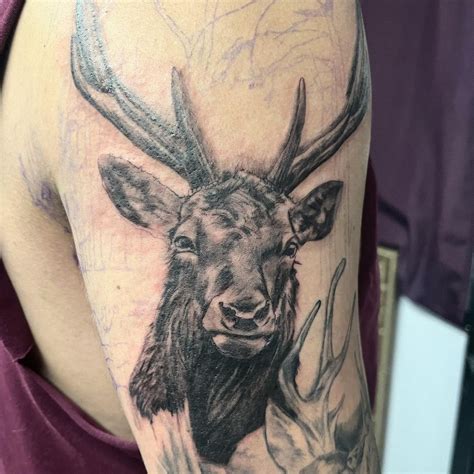 30 Elk Tattoo Ideas Elk Tattoo Geometric Elk Tattoo Tattoo Drawings
