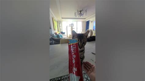 아 간식먹기 힘드네 쉬운게 없네 참~~~ Youtube