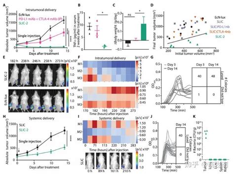基因工程菌——基因工程益生菌用于局部肿瘤递送检查点阻断纳米抗体 知乎