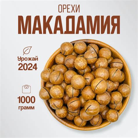 Макадамия орехи в скорлупе 1кг Taj Mahal купить на Ozon по низкой цене 1385849845