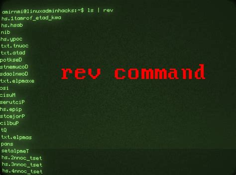 Find Client Ip Address In Ssh Connection By Linux School Tech Aug 2024 Medium