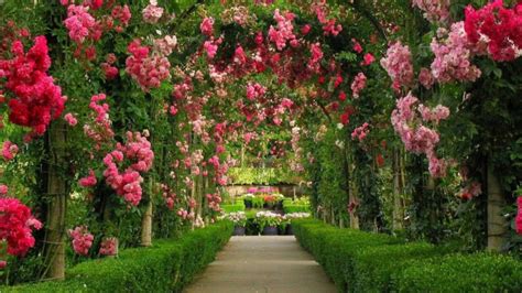 Madem Ölüm Tek Bir Defa Gelecek O Da Neden Allah İçin Olmasın Söz