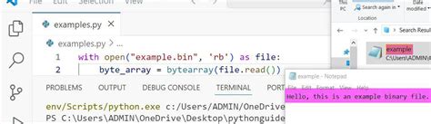 Read A Binary File Into A Byte Array In Python